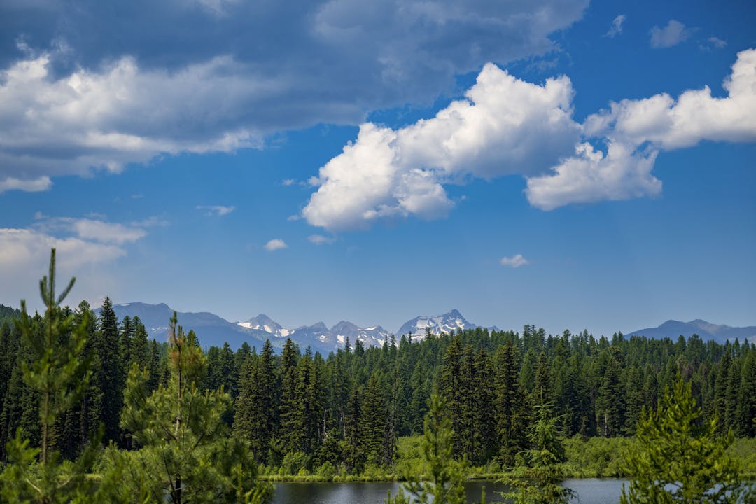 Swan Valley Planning Committee | Missoula County Voice