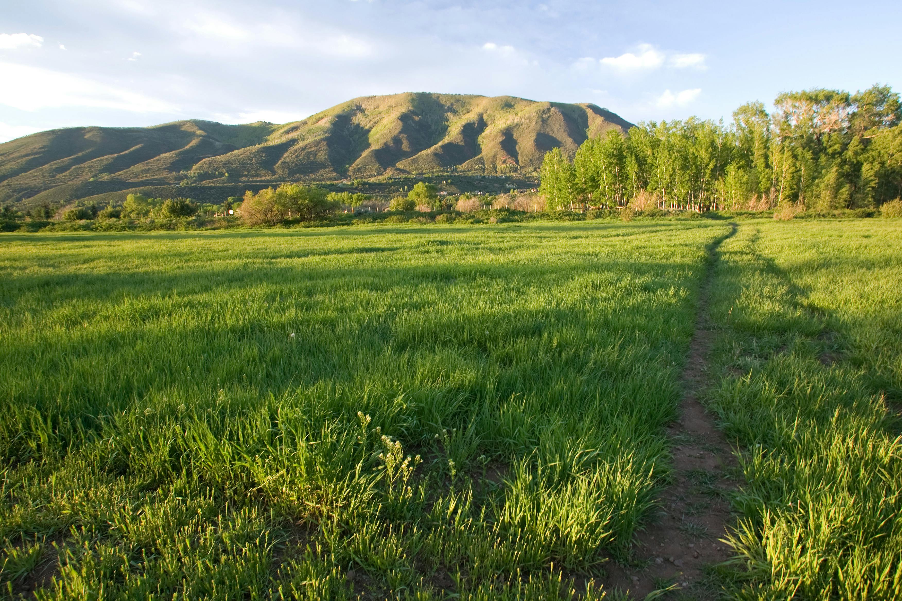 2021 Marolt Open Space Management Plan | Aspen Community Voice