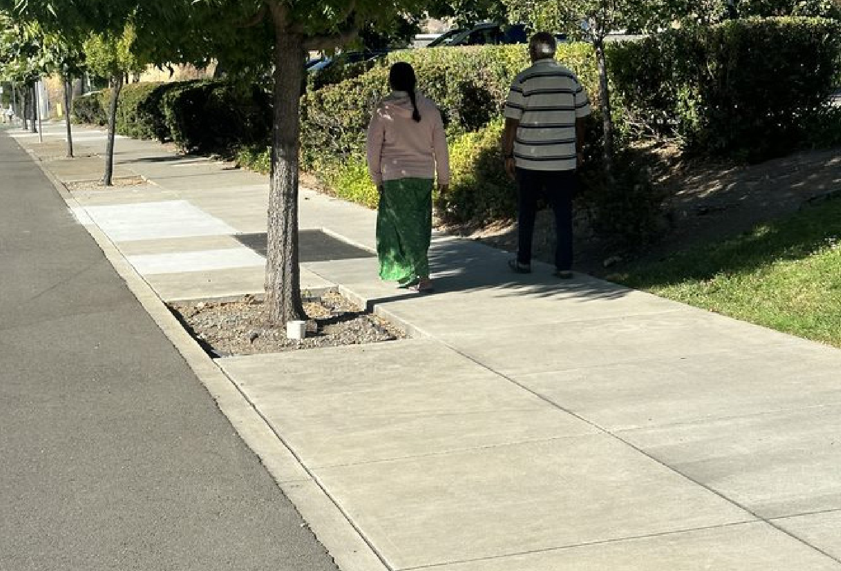 Phase 3 Survey: Project and Program Prioritization | MyFremont