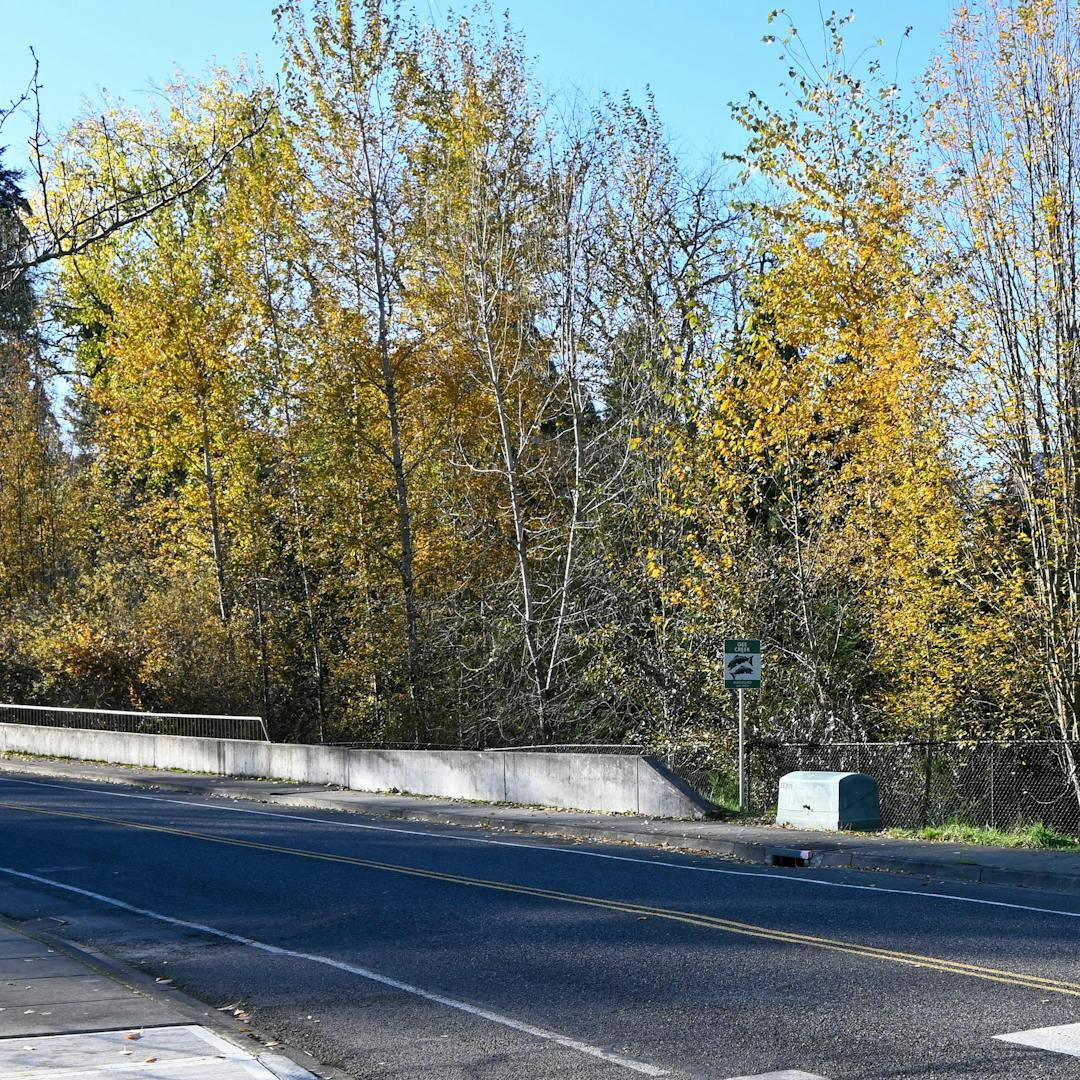 All Projects | Ridgefield Roundtable