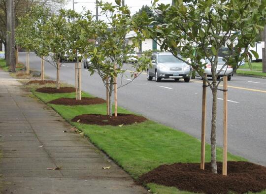 181st Safety Project Survey | Engage Gresham