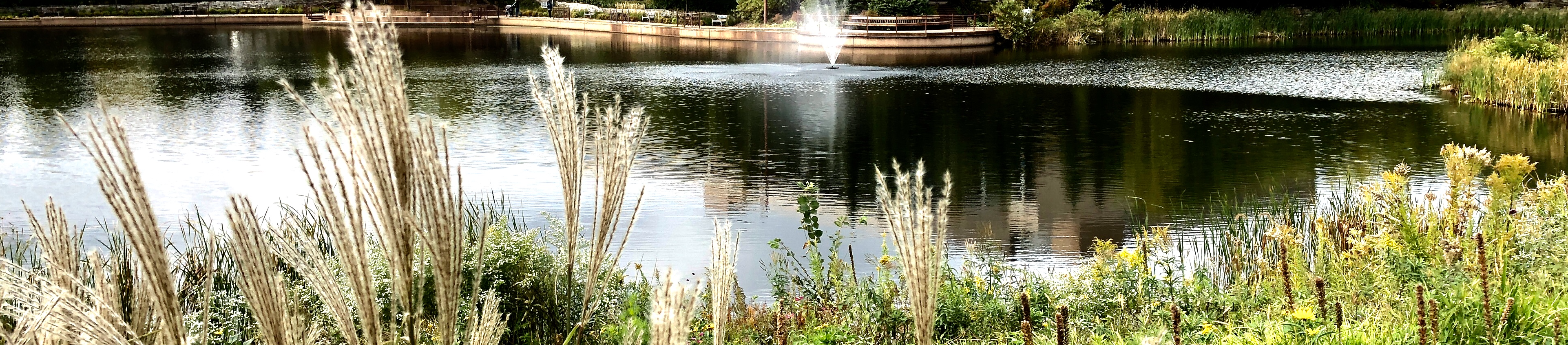 ARCHIVED: 2021 Edina Community Climate Action Feedback | Better ...