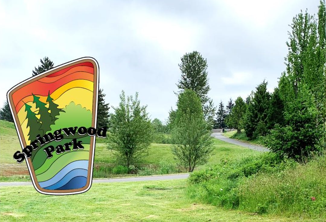 Springwood Park Reimagining Project | Engage Kent Parks