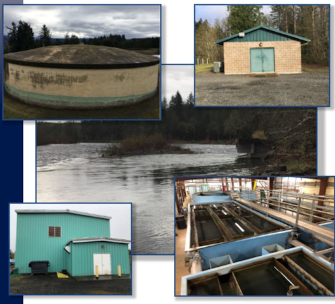 Molalla's Water System | Molalla Current