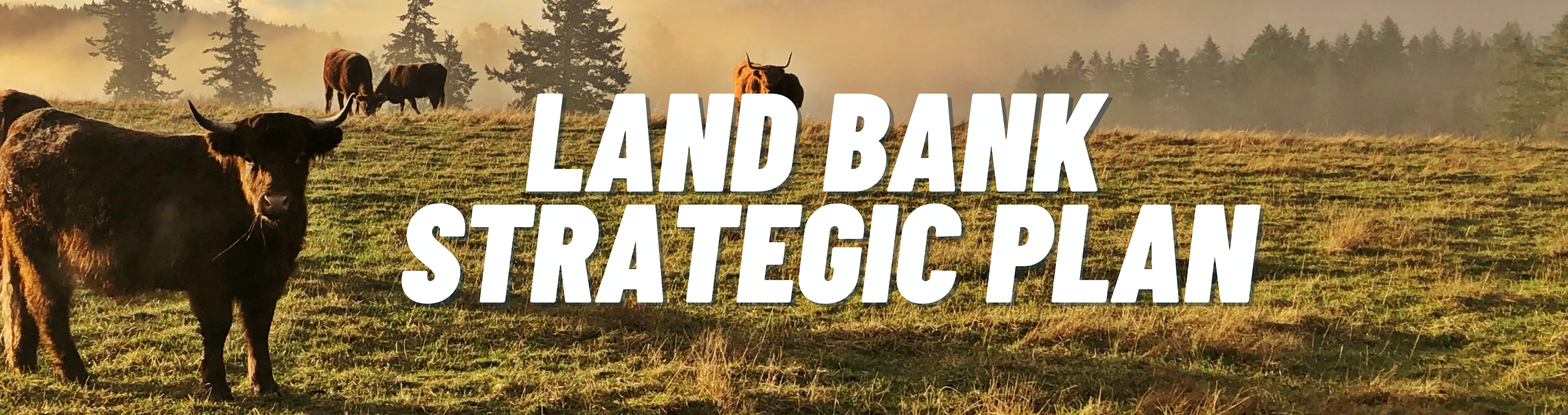 Engage San Juan County