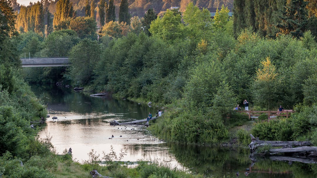 Stormwater and Surface Water System Plan | Let's Connect Redmond