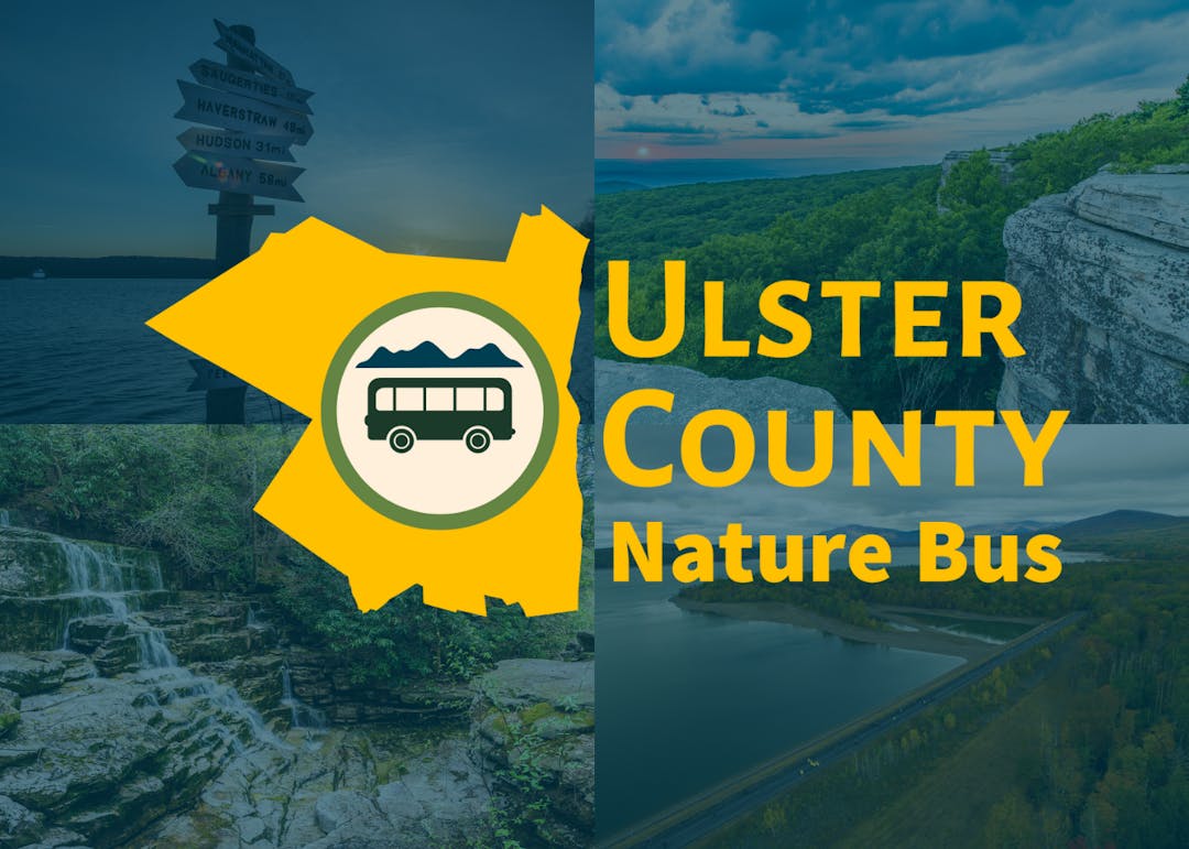 Nature Bus | Autobús de la Naturaleza | Participate Ulster