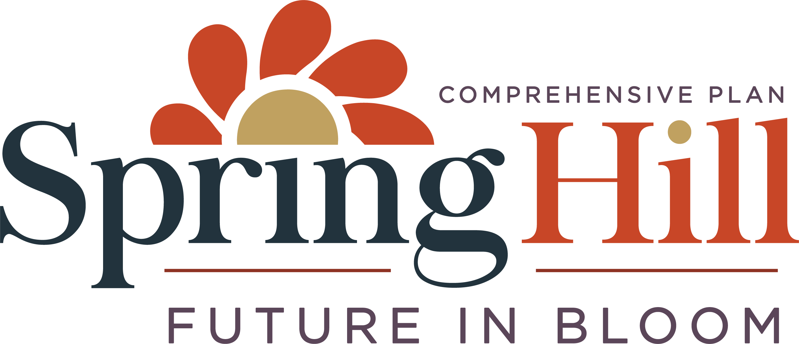 Spring Hill Comp Plan