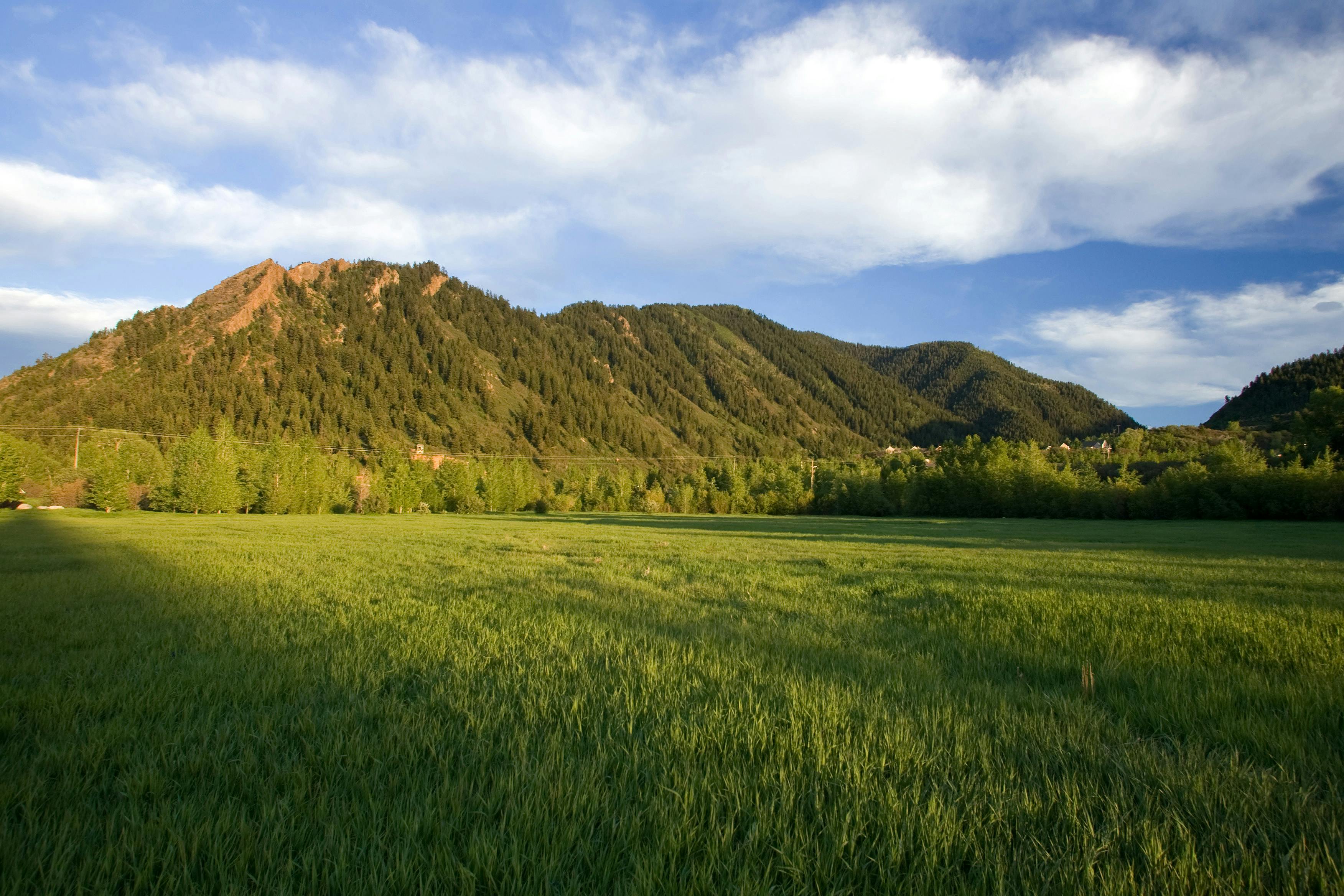 2021 Marolt Open Space Management Plan | Aspen Community Voice